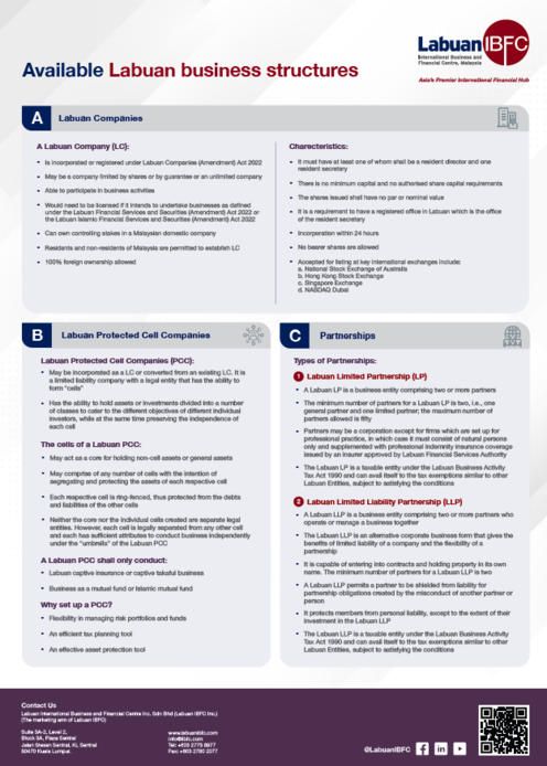 Available Labuan business structures - Infographics | Labuan IBFC