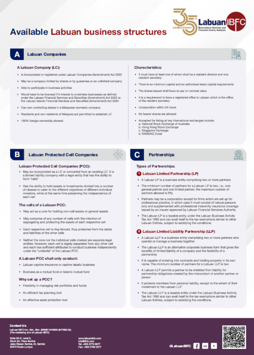 Available Labuan business structures - Infographics | Labuan IBFC
